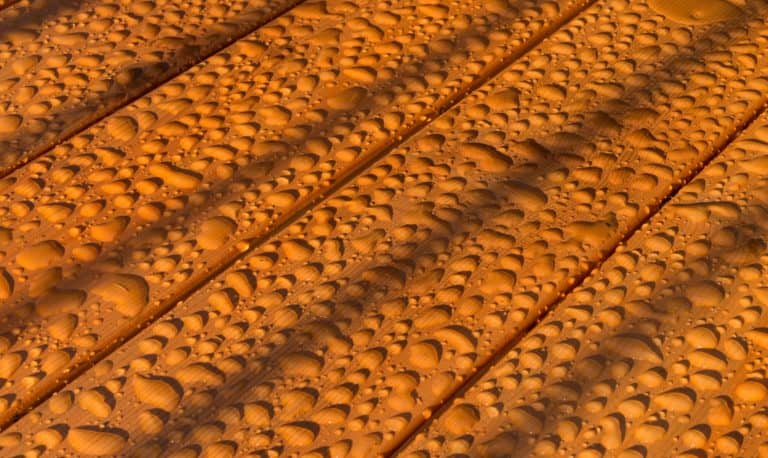 Best Exterior Finish For Western Red Cedar - Eco Paint, Inc.